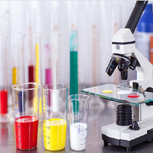 Home Paint Testing Service